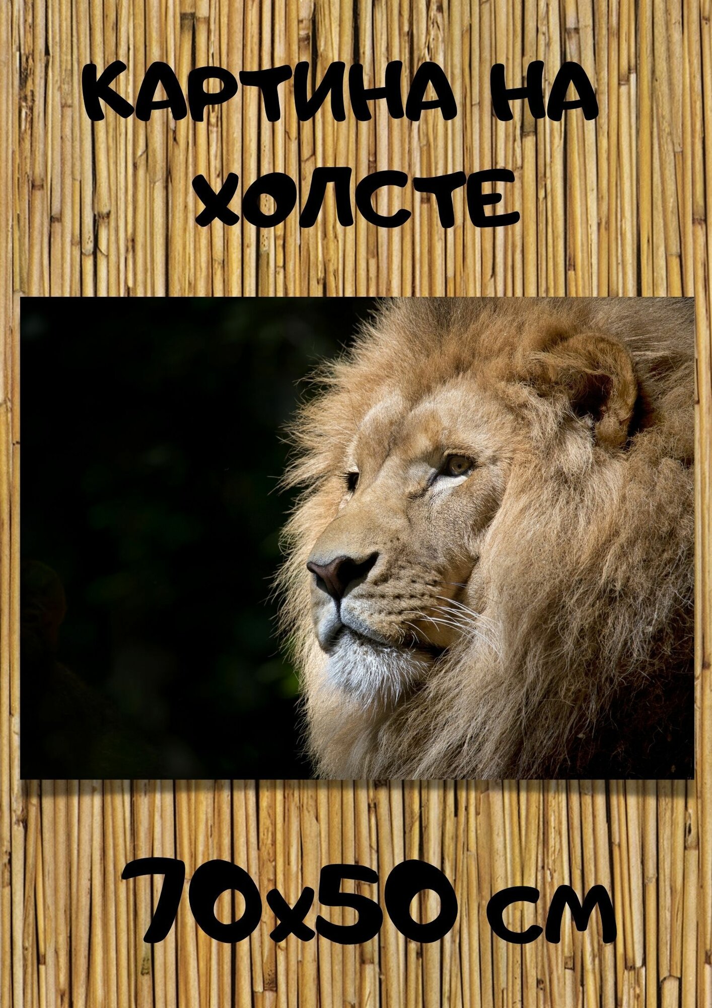 Картина с дикими животными "Лев с гривой" 70х50 см