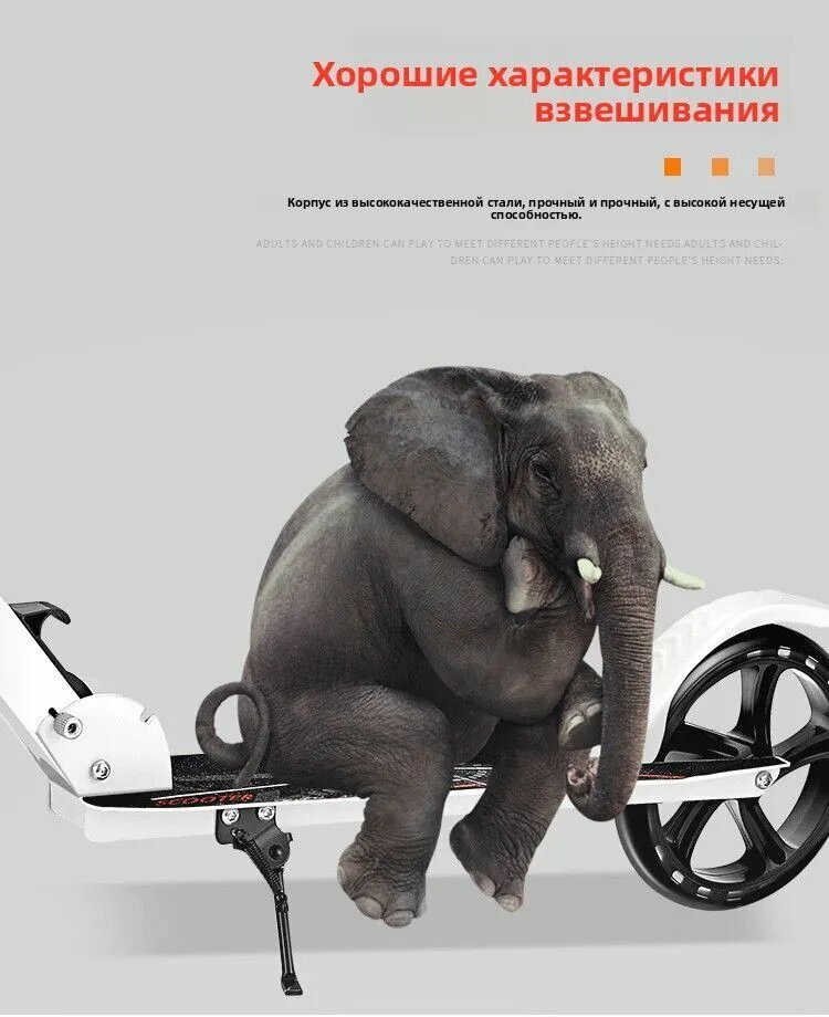 Самокат JTBCbn, городской, складной, 2 колеса, алюминиевый сплав, белый