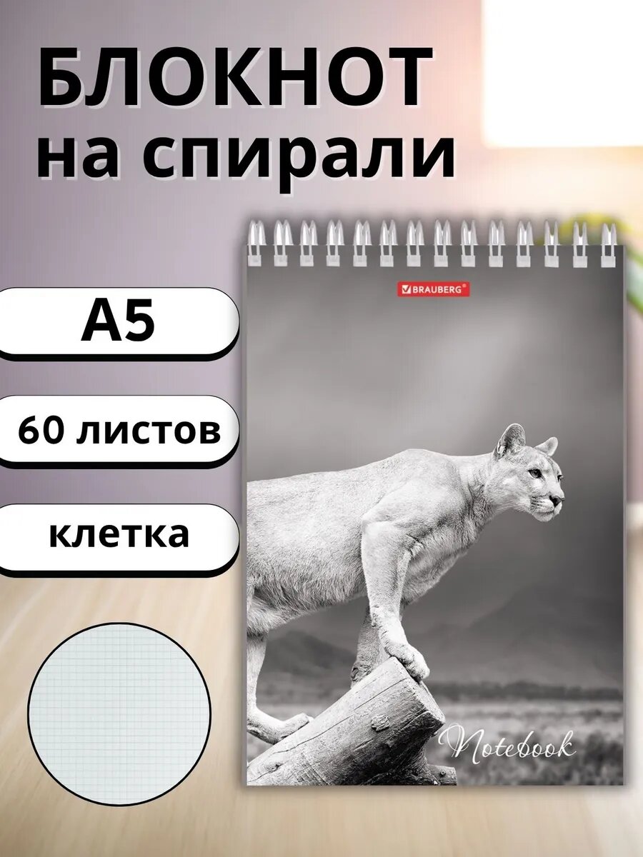 Блокнот Юнландия "Рысь", на спирали, формат А5, клетка, 60 листов
