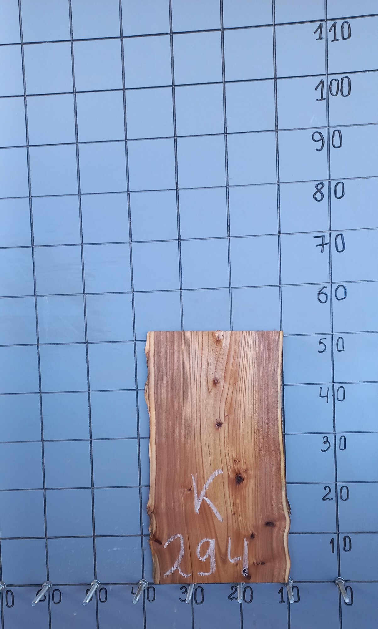 Слэб Доска деревообрабатывающая компания Dokles №294 2,2x26x50см "Карагач", антисептическая, сухая