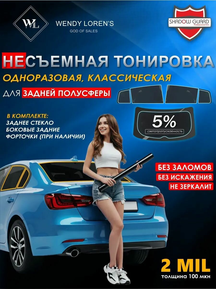 Тонировка задних стекол ВАЗ 2113 2004-2013, 5% на заднюю полусферу