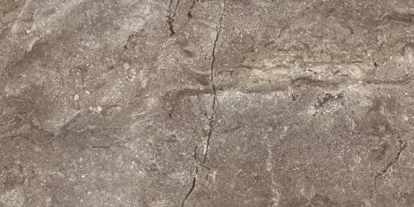 Керамогранит Leopard Stone УТ-00027785 120x60 Глянцевая Серый