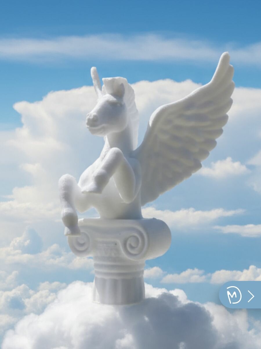 Пегас на торпеду автомобиля белый