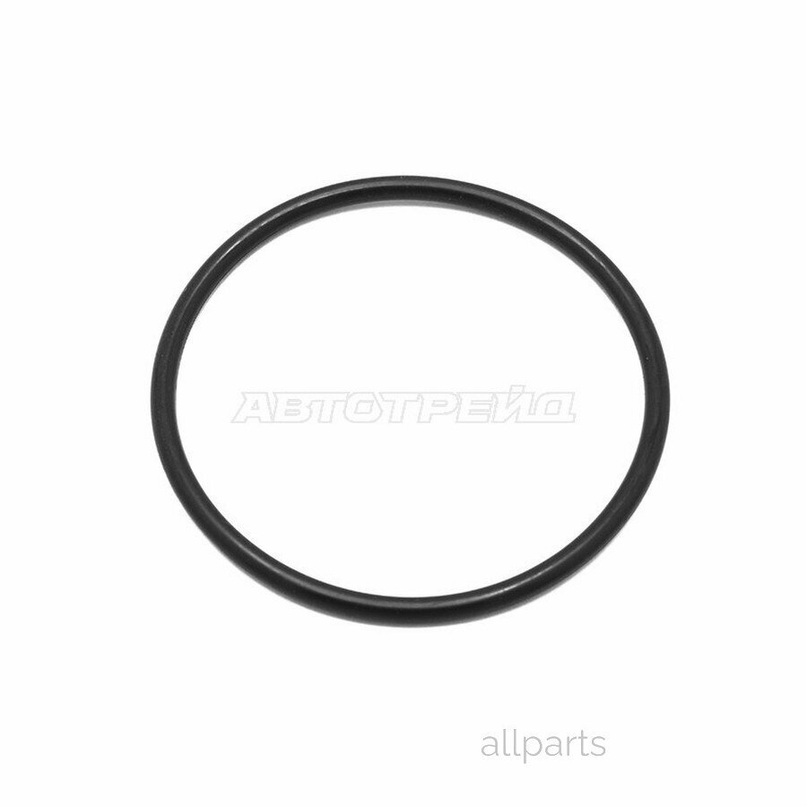 SAT ST-440-0003 Прокладка помпы Audi A3 03-05 / A4 04-09 BGU; BSE; BSF
