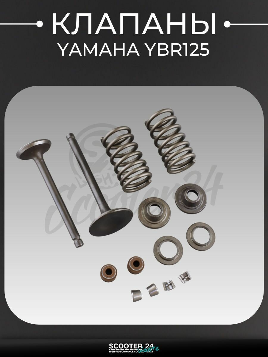 Клапаны (пара, в сборе) на мотоцикл, скутер Yamaha YBR 125 кубов / Ямаха ЮБР (L-65 мм) "BEEZMOTO"