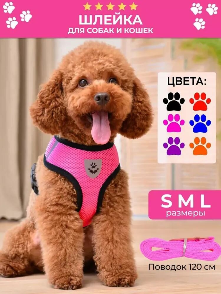 Шлейка для собак и кошек с поводком для всех типов пород