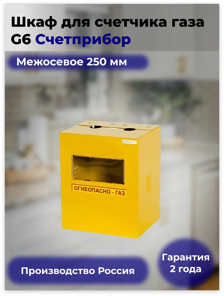 Шкаф для счетчика газа G6 межосевое 250 мм ШС-1.2 G-6