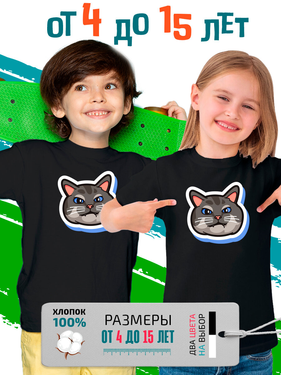 Футболка детская мемная с котом