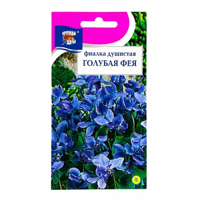 Семена цветов Фиалка душистая "голубая ФЕЯ", 0,05 гр,