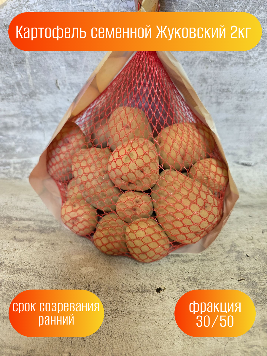 Картофель семенной ранний Жуковский 2кг