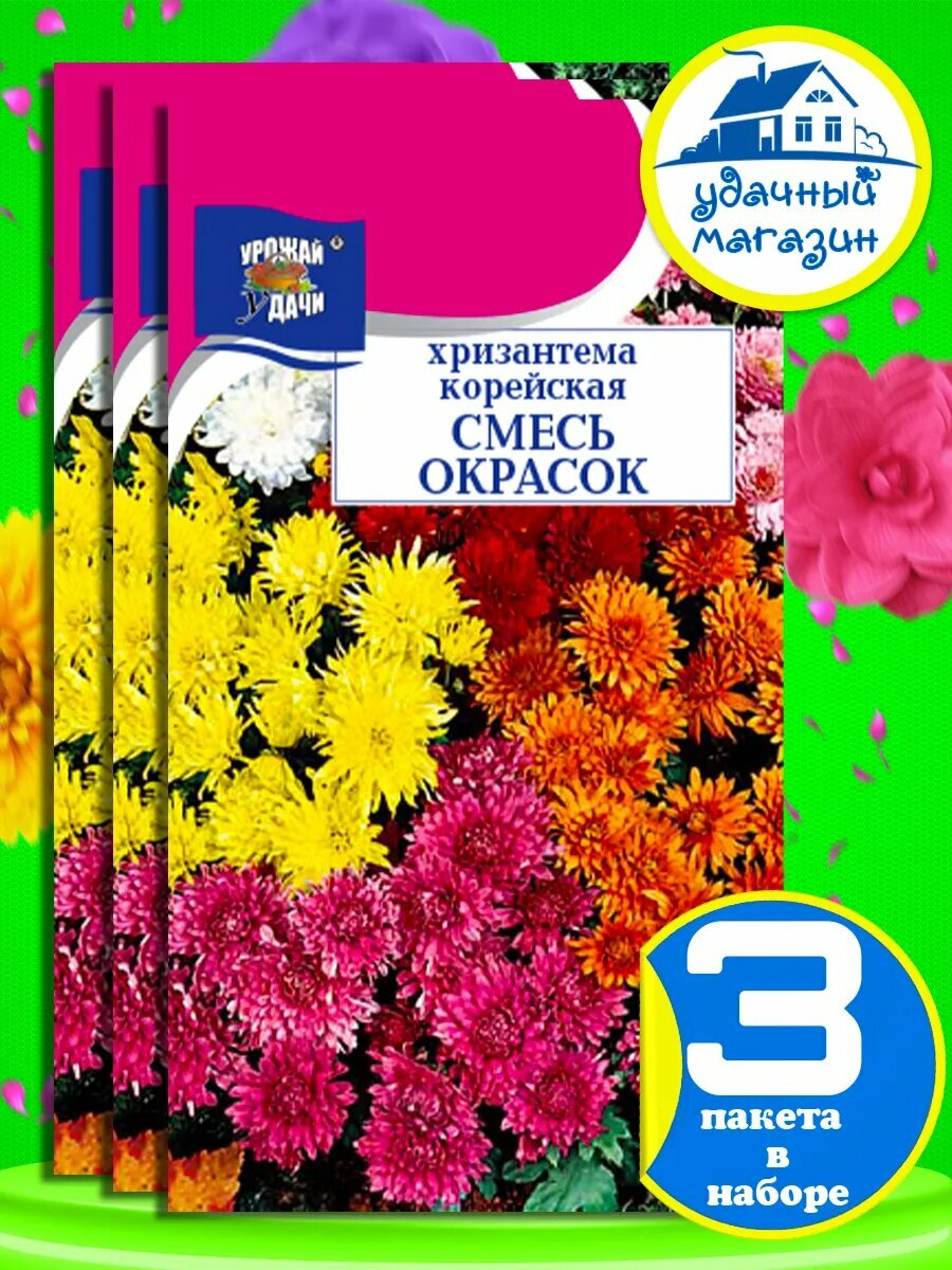 Семена хризантемы Урожай Удачи, махровые, многолетние, 3 упаковки