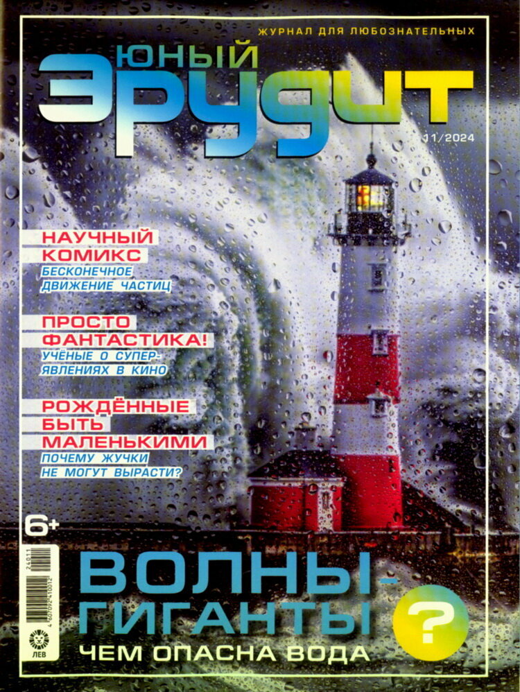 Юный эрудит №11/2024