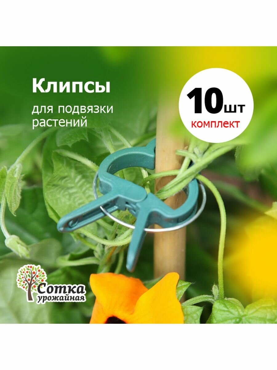 Садовая клипса для поддержки растений 10 штук 3,5х4,3х0,65 см 'Урожайная сотка'