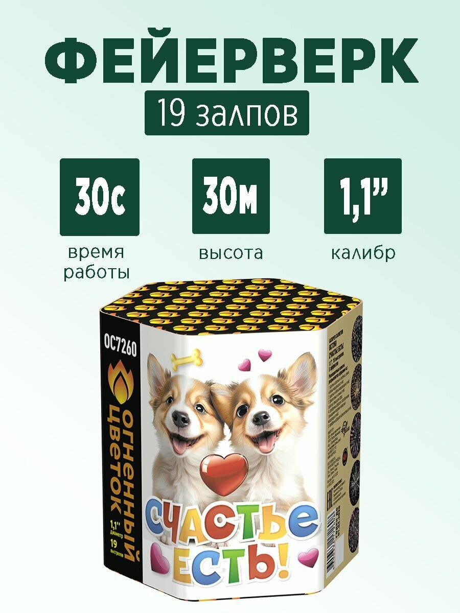 Салют "Счастье есть!" 19 залпов