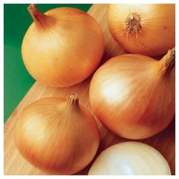 Коллекционные семена лука репчатый Король Артур