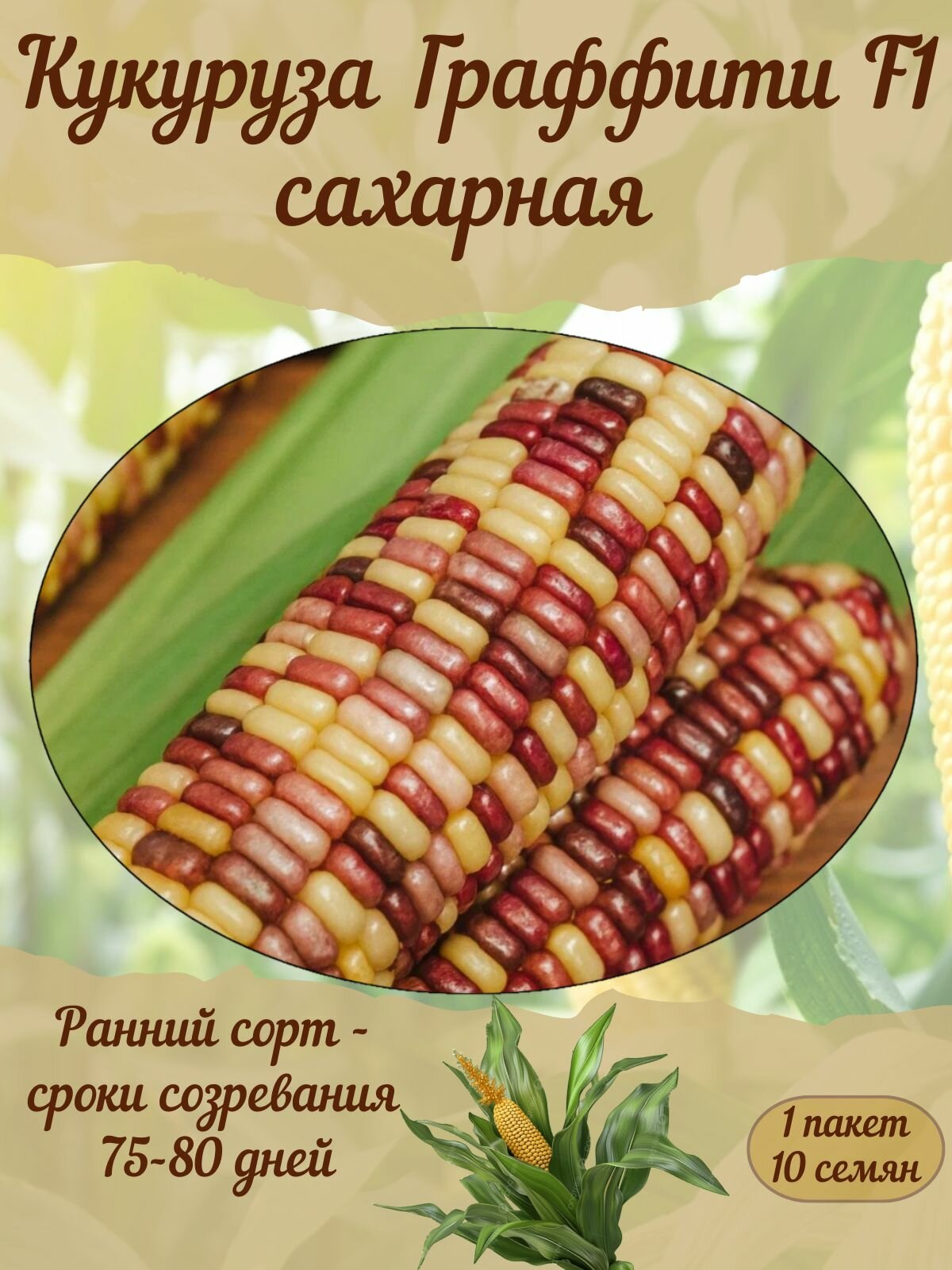 Кукуруза Граффити F1 сахарная, 10 шт, 15 гр.