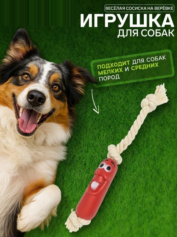 Игрушка для собак Весёлая сосиска на верёвке , 14 см