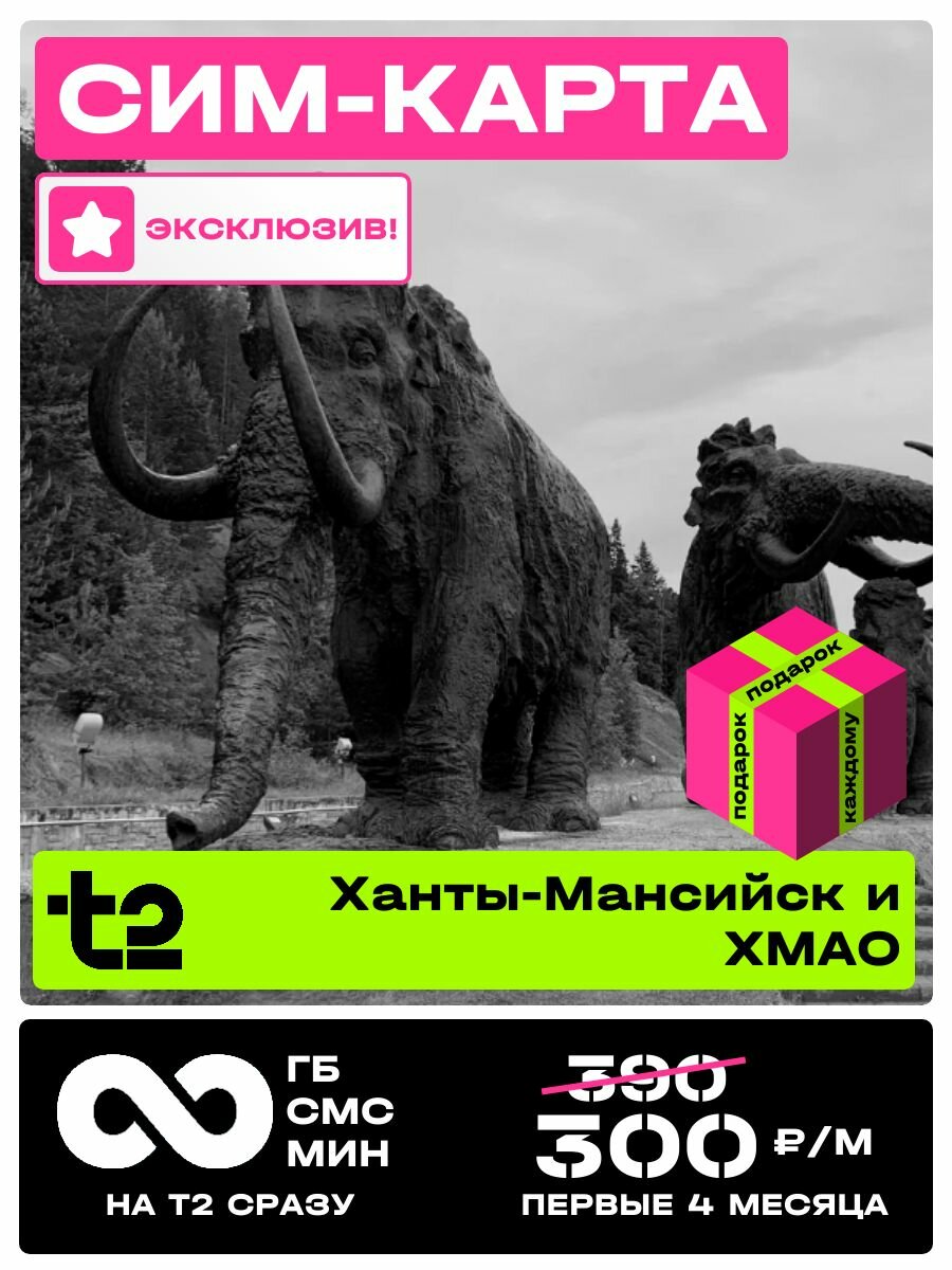 Сим карта теле 2 с безлимитным интернетом и минутами. t2 SIM-карта тариф хватит хмао. За 300 рублей в месяц.