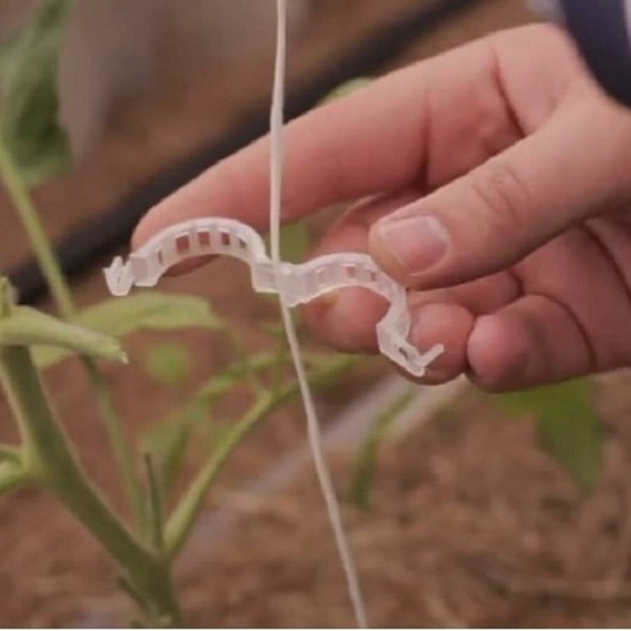 Садовые клипсы (зажимы для фиксации) 23мм для подвязывания растений 500 шт