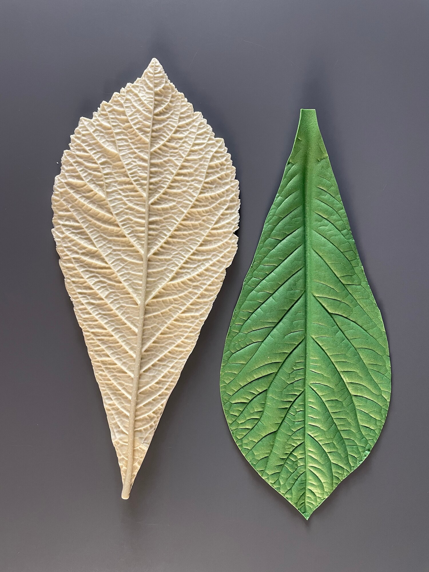 Молд лист роджерсия для фоамирана или изолона, 243x101мм, пластик