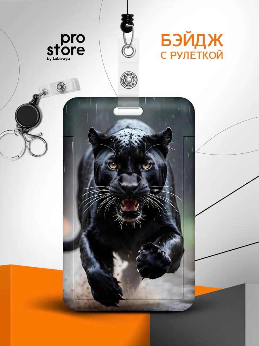 Бейдж для пропуска, с рулеткой, с рисунком, для школьника, пластиковый