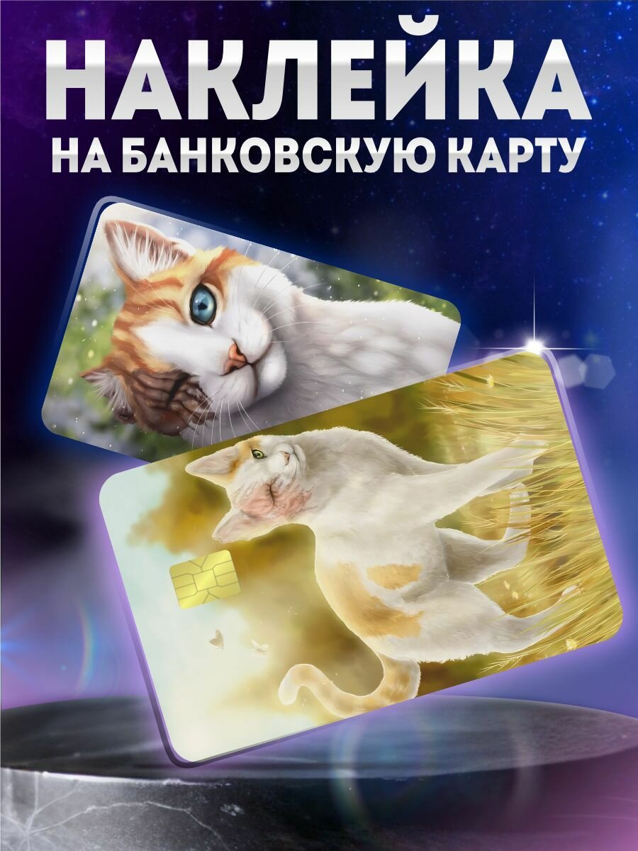 Наклейка на банковскую карту коты воители Яроликавлагостойкая, яркая печать, аксессуар