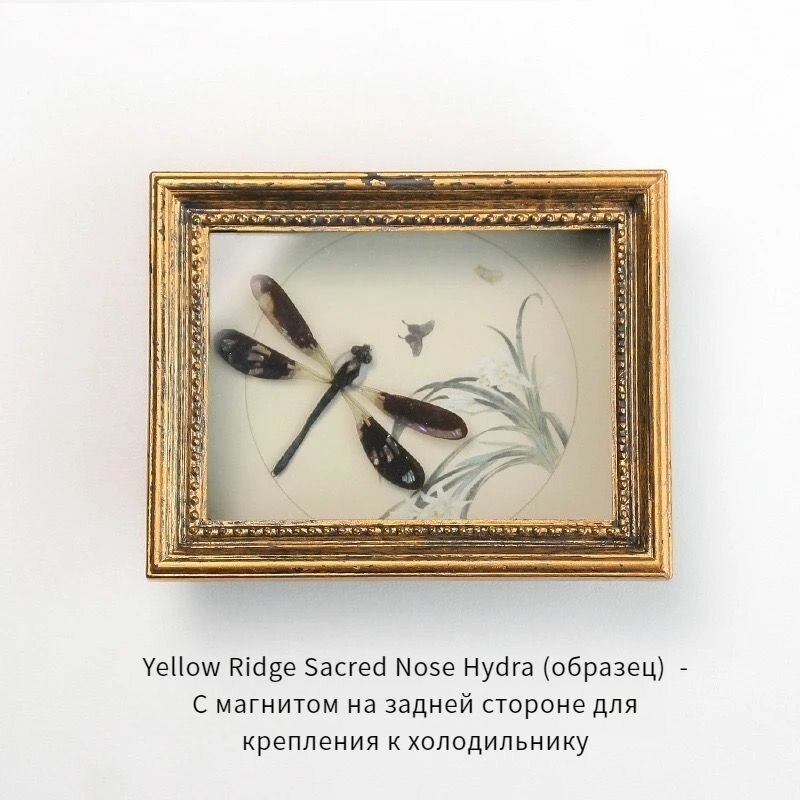 Чучело декоративное Настоящая бабочка в рамке с магнитом и кронштейны для украшения интерьера комнаты, дома, мебели, холодильника