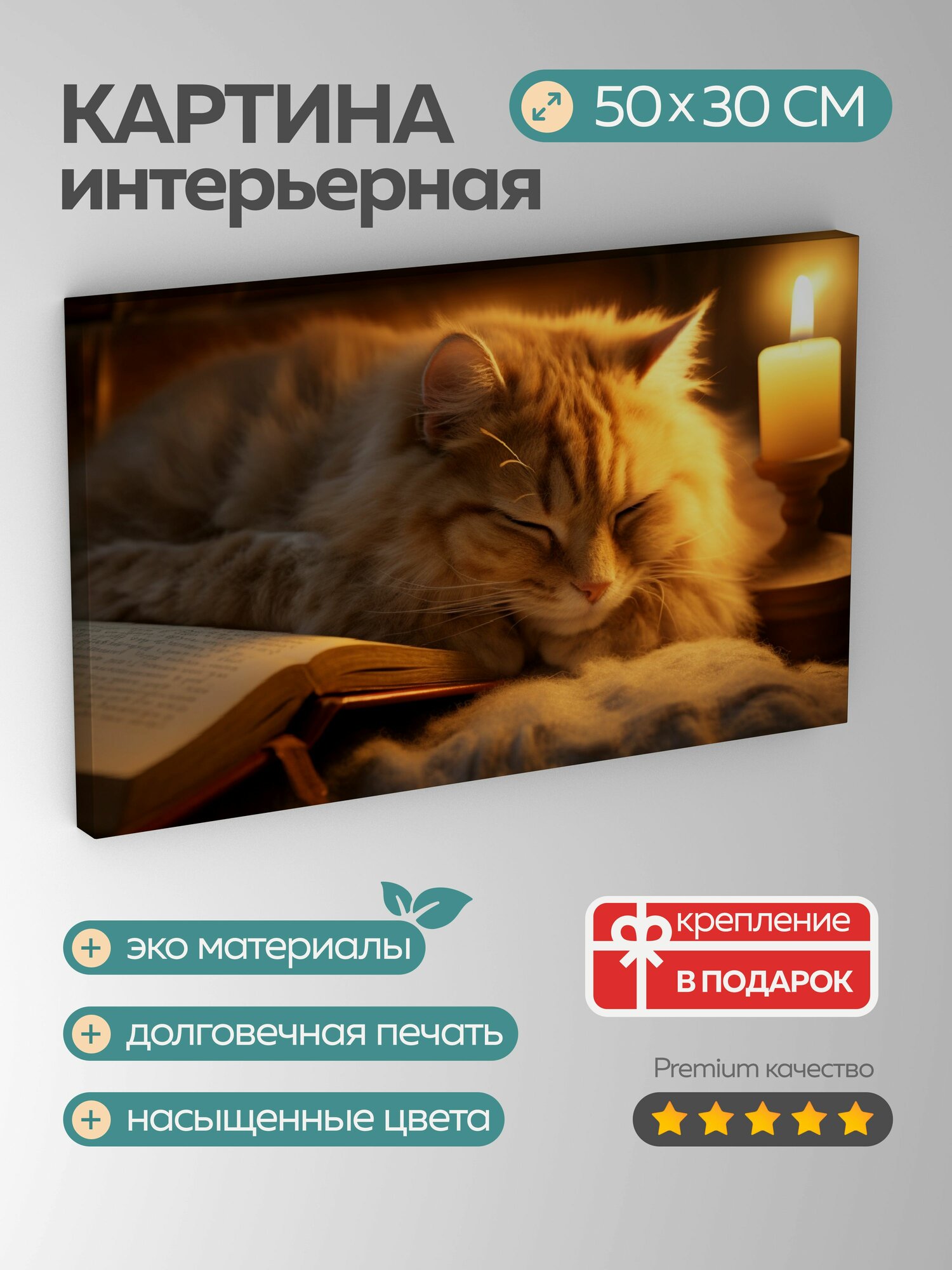 Картина на холсте интерьерная 50х30 см, кошка, сон, британская кошка, пушистый мех, свет, лампа для чтения, сияние