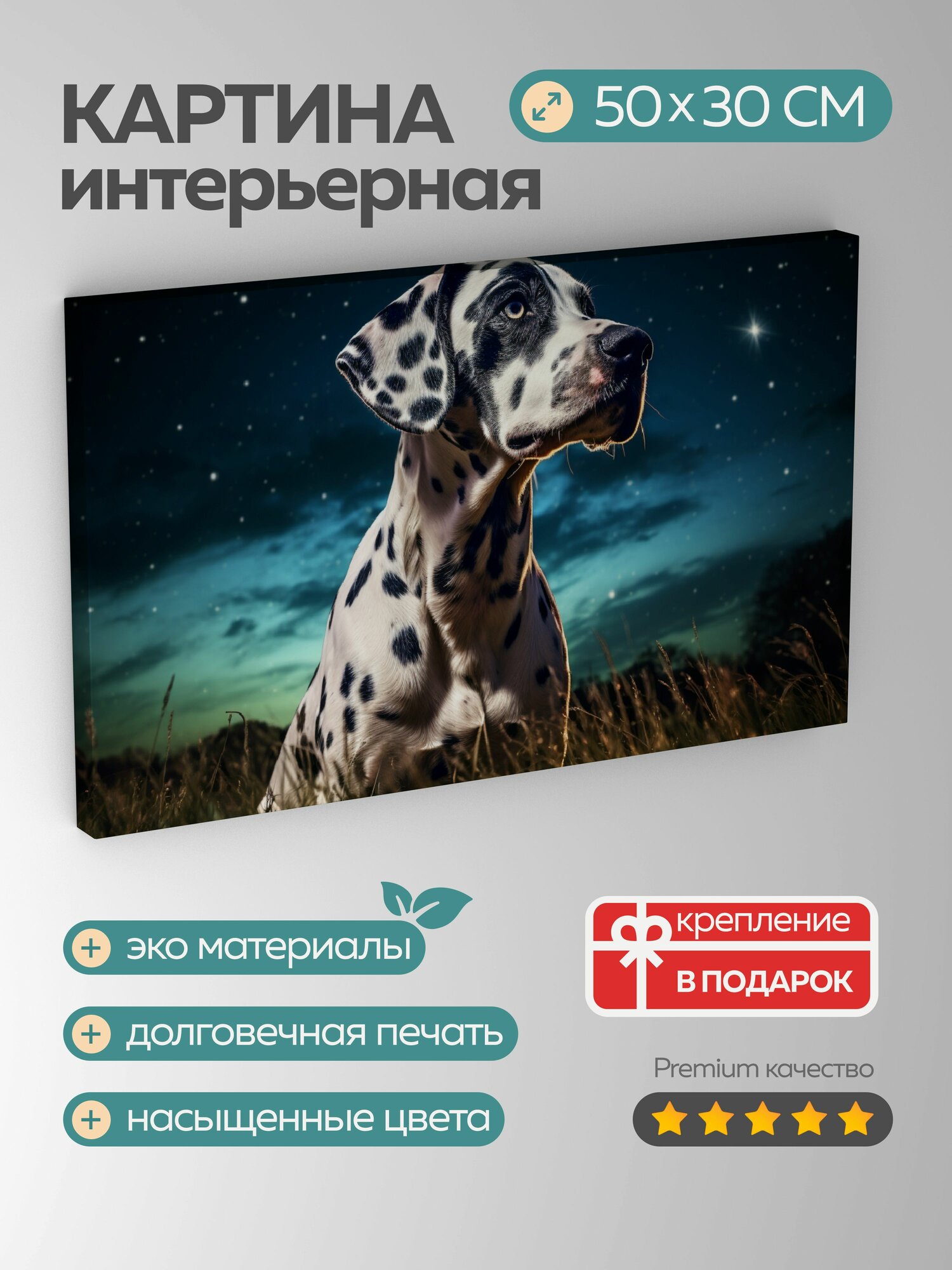 Картина на холсте интерьерная 50х30 см, фотография, далматин, поле, ночное небо, звезды