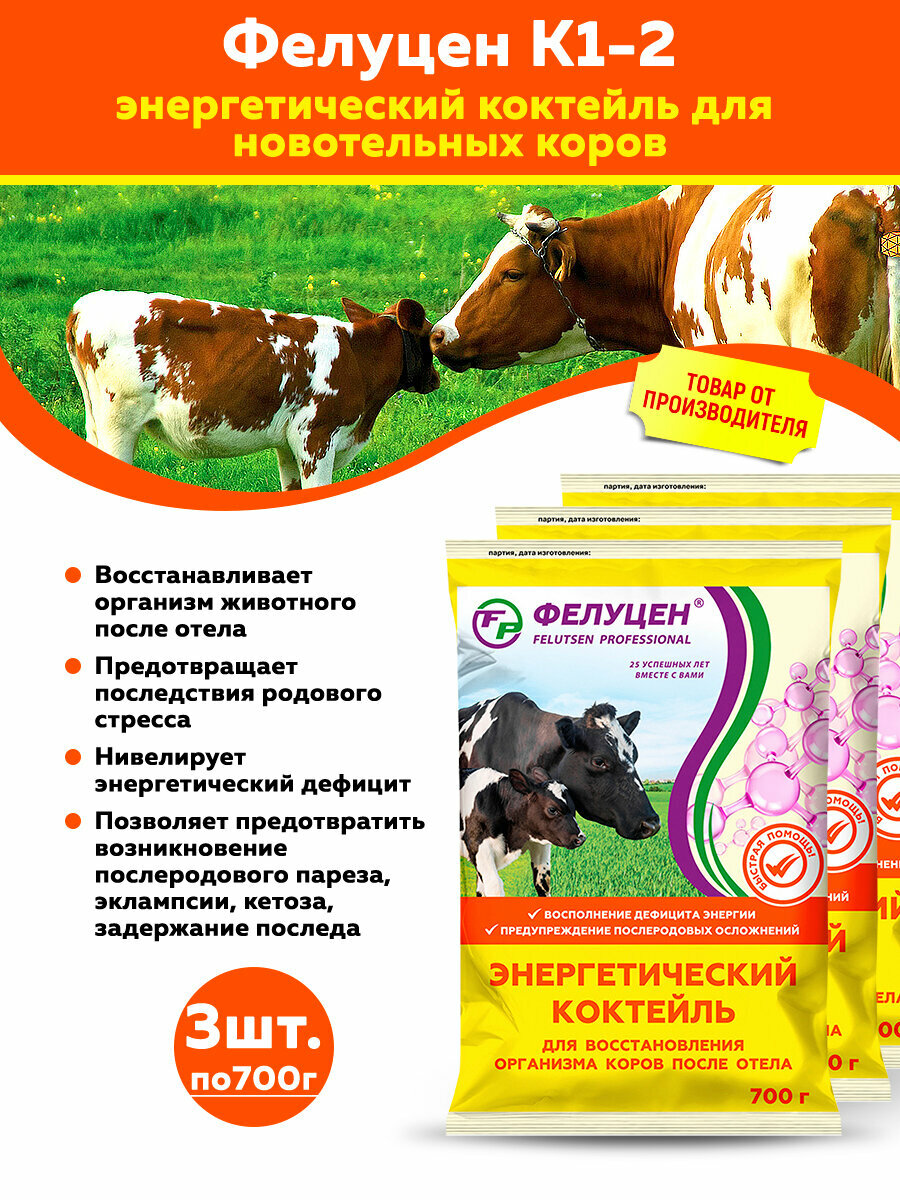 Комплект Энергетический коктейль Фелуцен К1-2 для новотельных коров (литера 2721) 700г, 3 штуки
