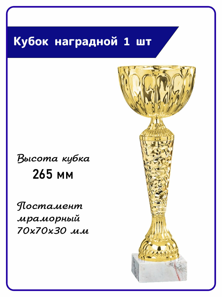 Кубок для награждения 9008 B