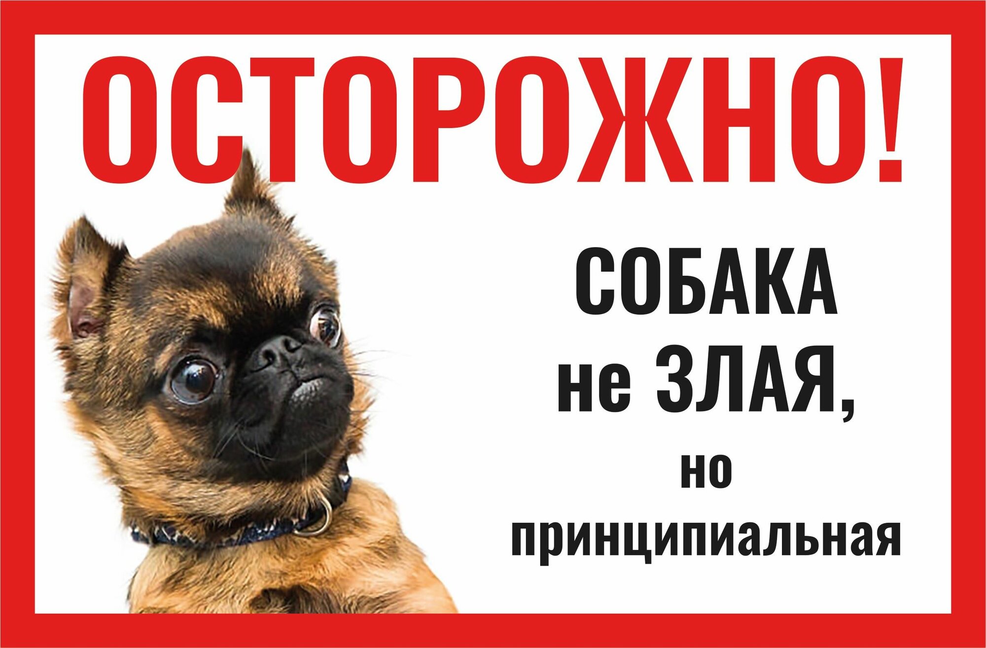 Табличка на забор "Злая собака", предупреждающая, ПВХ 3 мм, УФ печать, размер 17х22 см