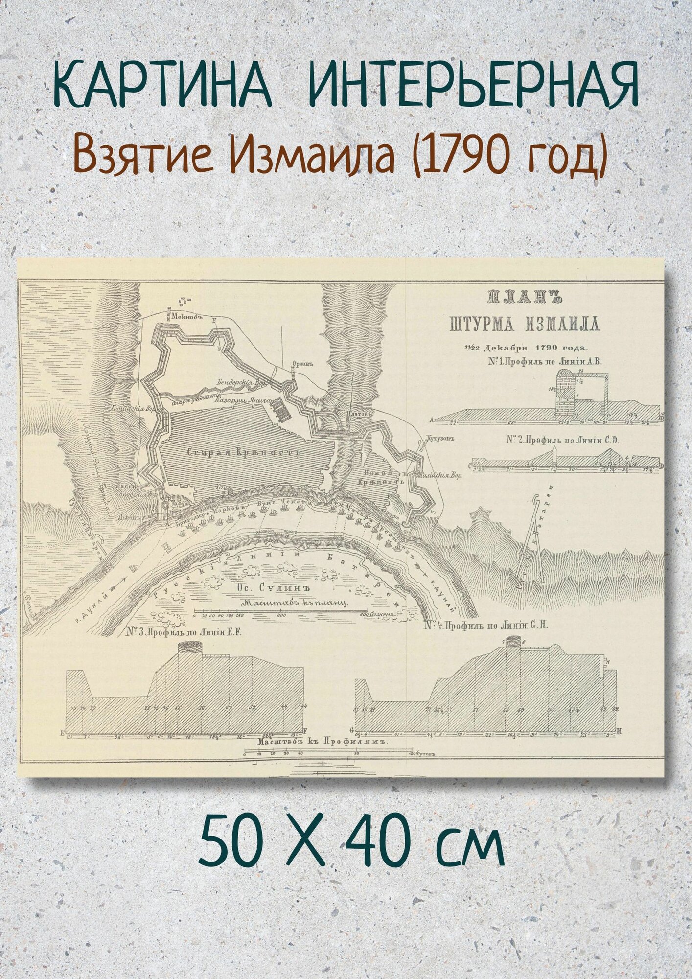 Картина с исторической схемой "Взятие Измаила 1790 год" 50х40 см