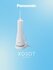 Ирригатор Panasonic EW1511 W520