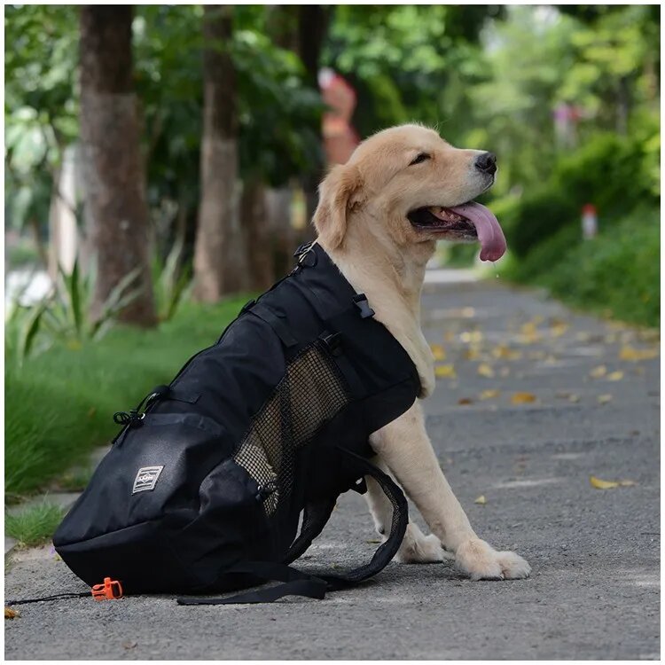 Черный рюкзак для собак Petguider XL (12-15кг)