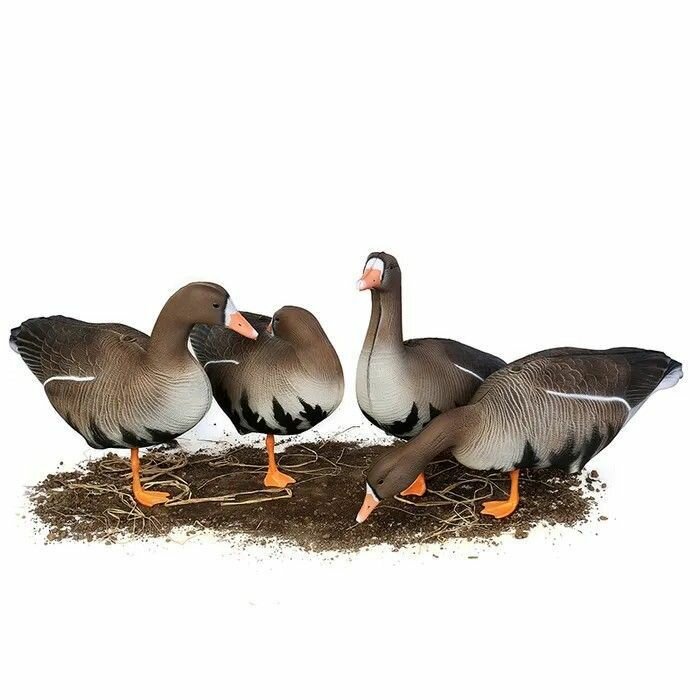 Чучела Гусей Белолобый SuperXPE 10 Шт.