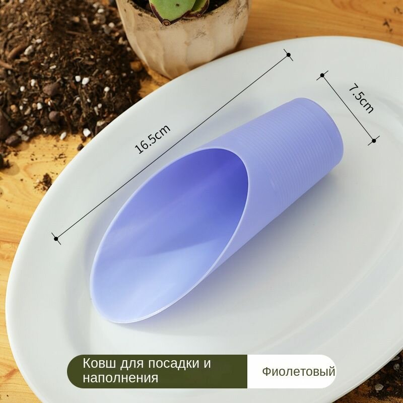 Лопата сиреневый