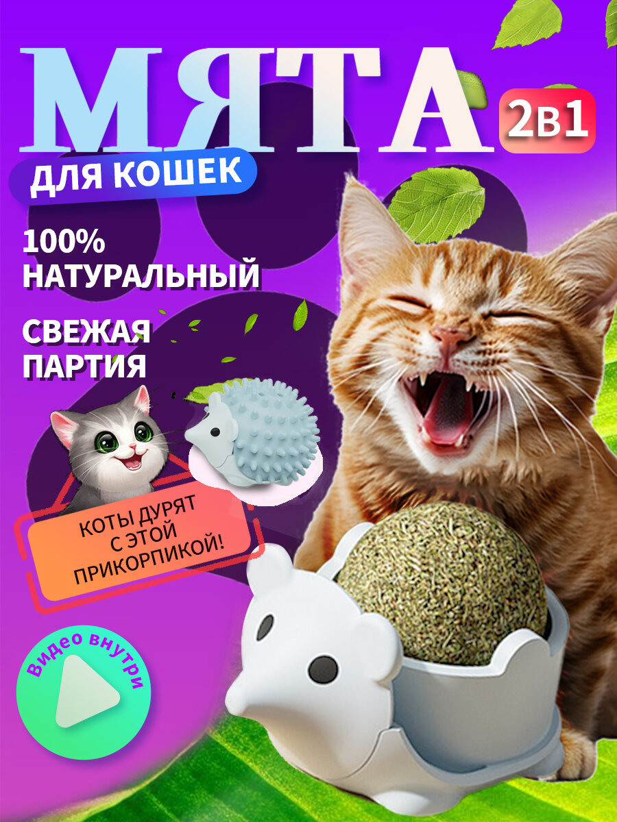 Игрушка для кошек "Ежик с кошачьей мятой", с фиксированным дизайном, для дрессировки и чистки зубов