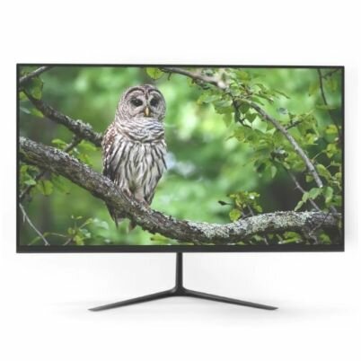 23,8' Монитор AIWA MF2403-V (MF2403-V) черный - 1920x1080@75 Гц, VA, 5 мс, 3000:1, 250 кд/м2, 178/178