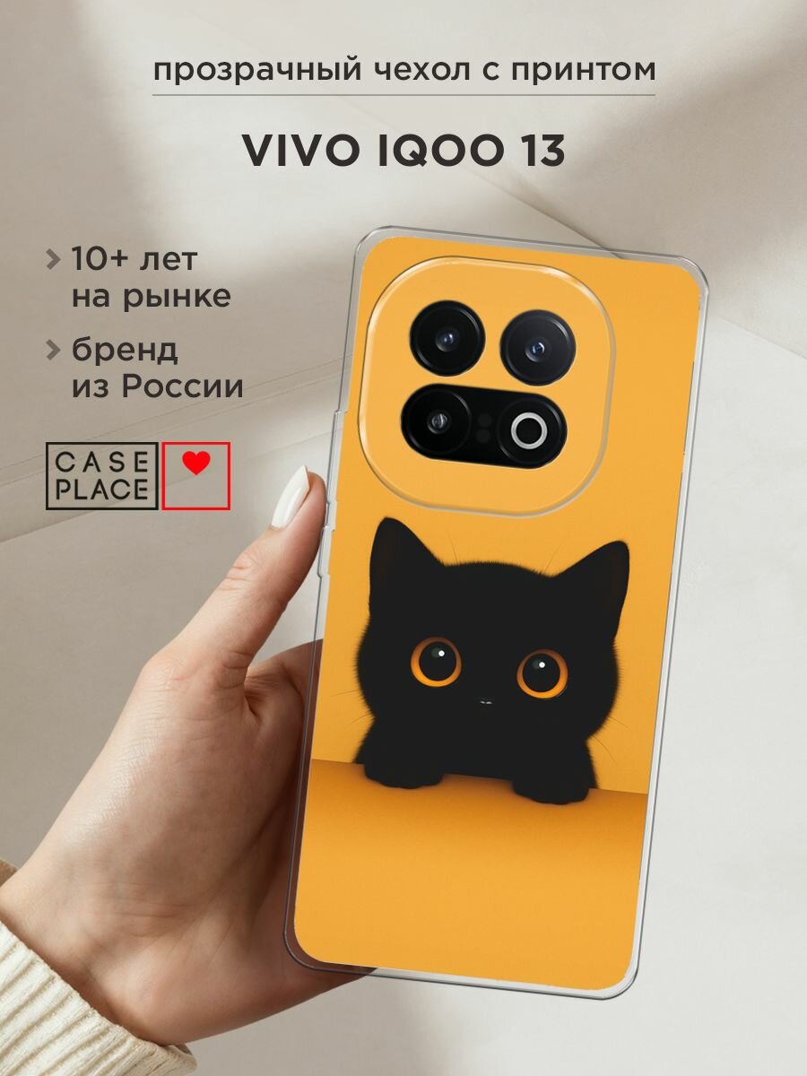 Чехол на Vivo iQOO 13 / Виво iQOO 13 с принтом "Контрастный котик"