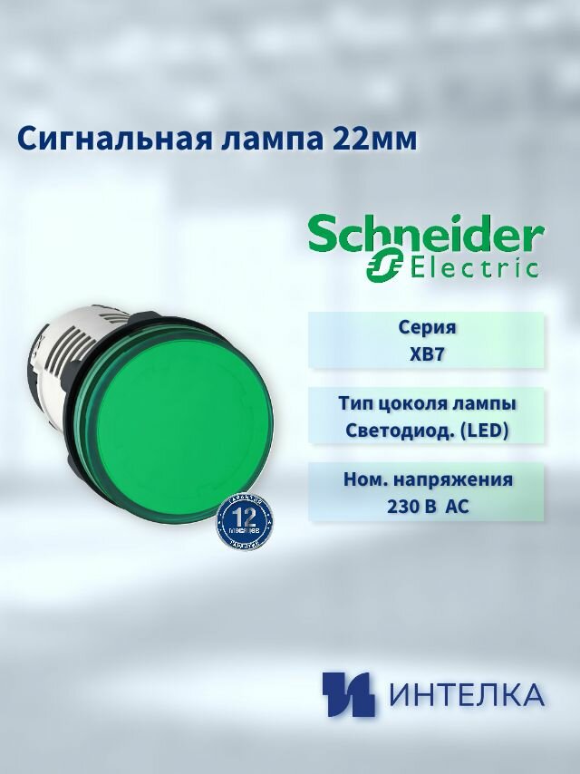 Моноблочная сигнальная лампа Schneider electric, 22мм 230В зеленая XB7EV03MP