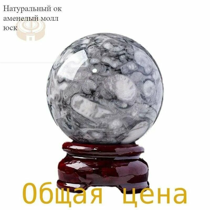 Натуральный окаменелый моллюск в ракушечнике 4-5 см (полированный шар с ископаемыми, палеонтологический декор, коллекционный артефакт)