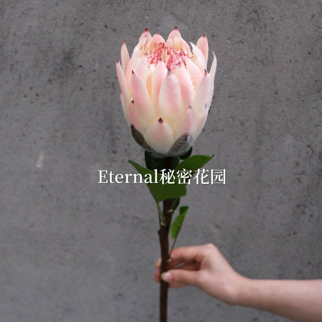 Флокированная одиночная ветка императорского цветка, южноафриканский принцесса цветок, подушка для булавок, цветок высокого класса, искусственный цветок для дома, цветок для лобби отеля