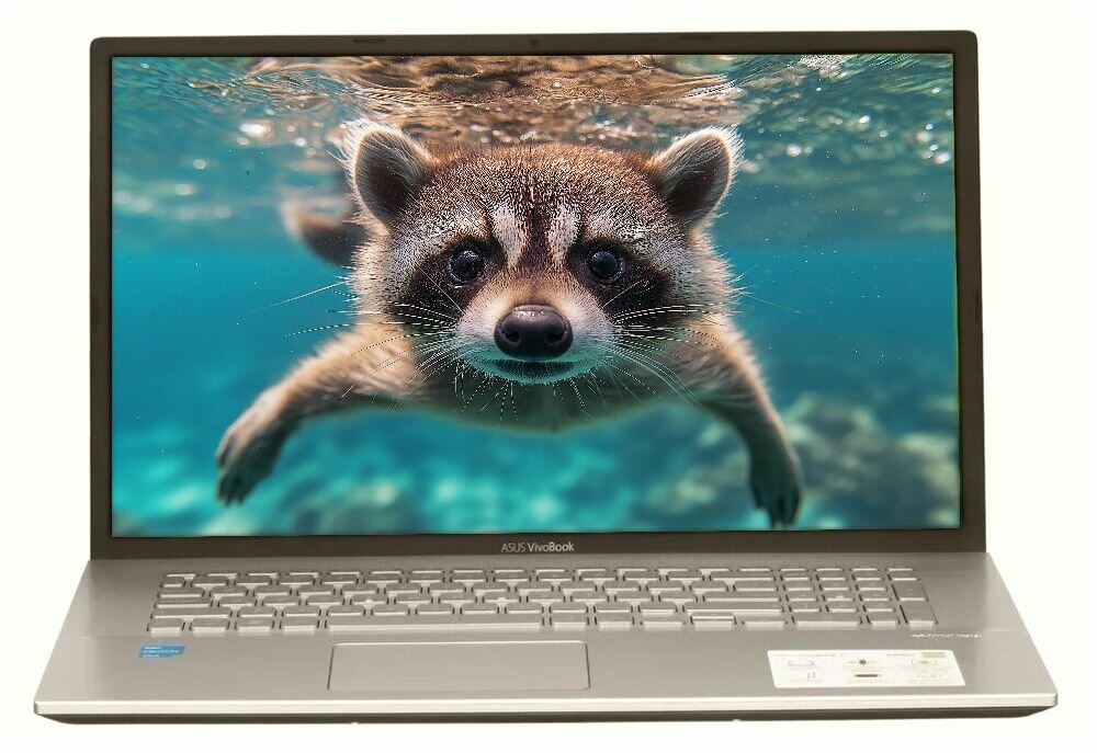 Ноутбук ASUS Intel Core i3 3,4ГГц 6 ядер. 17,3' 1920x1080 Intel UHD Graphics Windows 11 Pro Русская раскладка