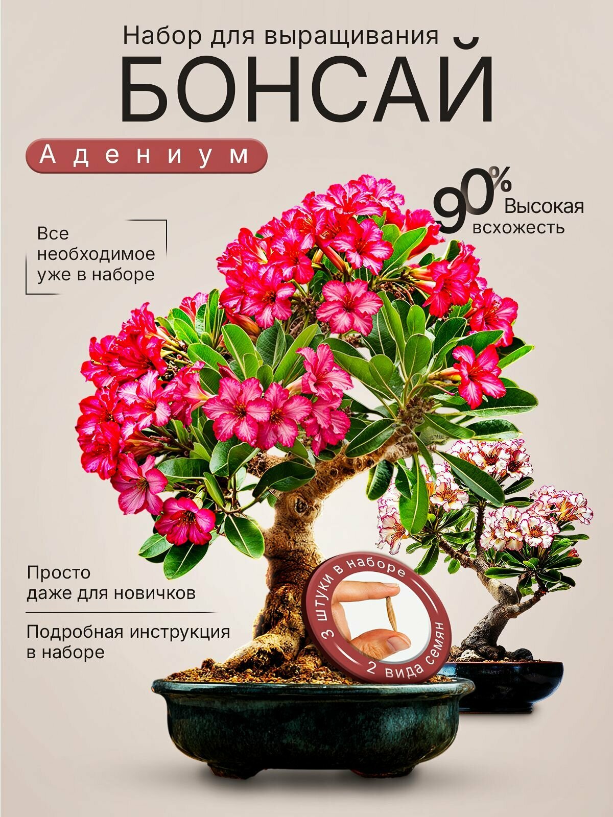 Уникальный набор для выращивания растений Адениум с кашпо и грунтом