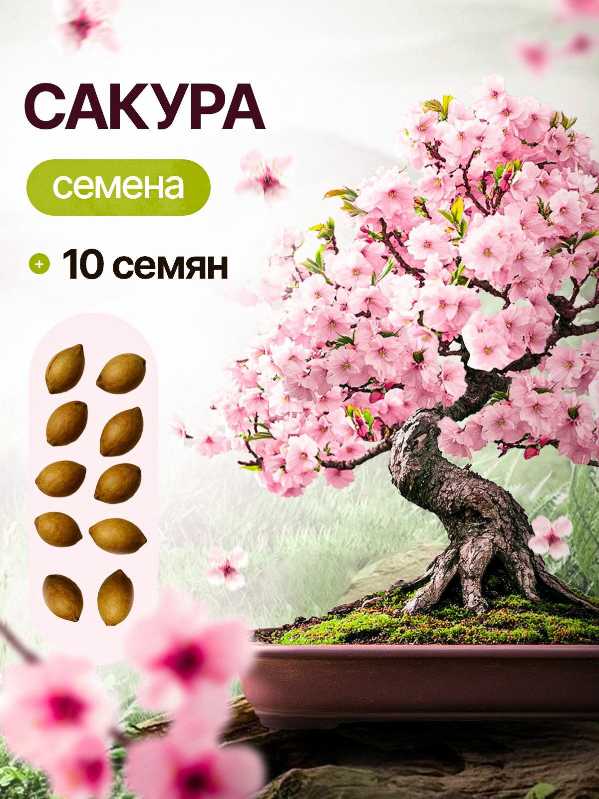 Семена для выращивания бонсай Сакура 10 шт. отборные Про Растения