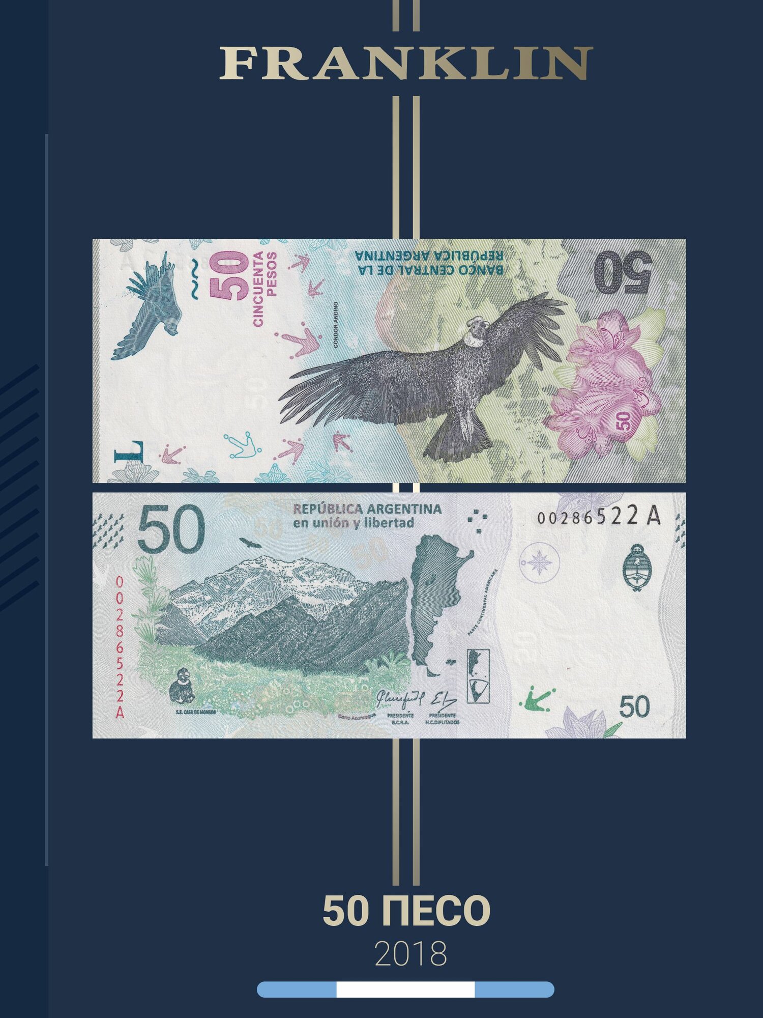 Банкнота Аргентина 50 песо 2018 год (UNC) Pick 363