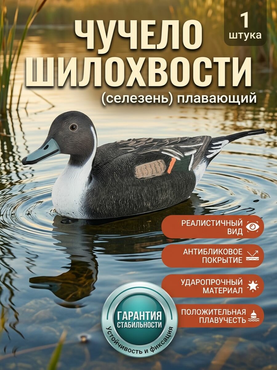 Чучело подсадное селезня шилохвости для охоты плавающее, реалистичное, объёмное, 1 шт