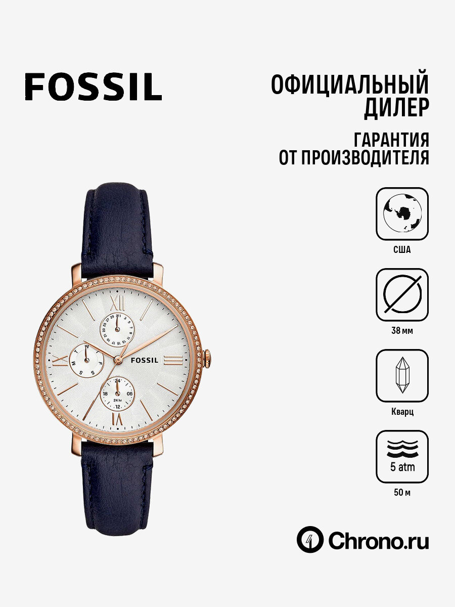  FOSSIL Jacqueline