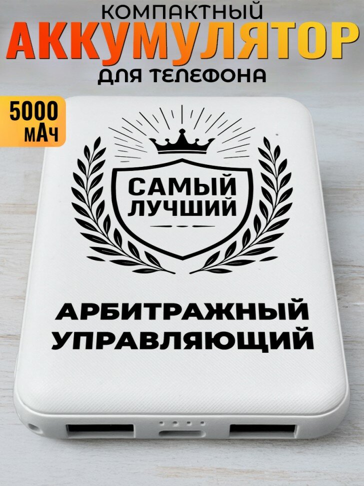 Повербанк "арбитражный управляющий" (5000 мАч)